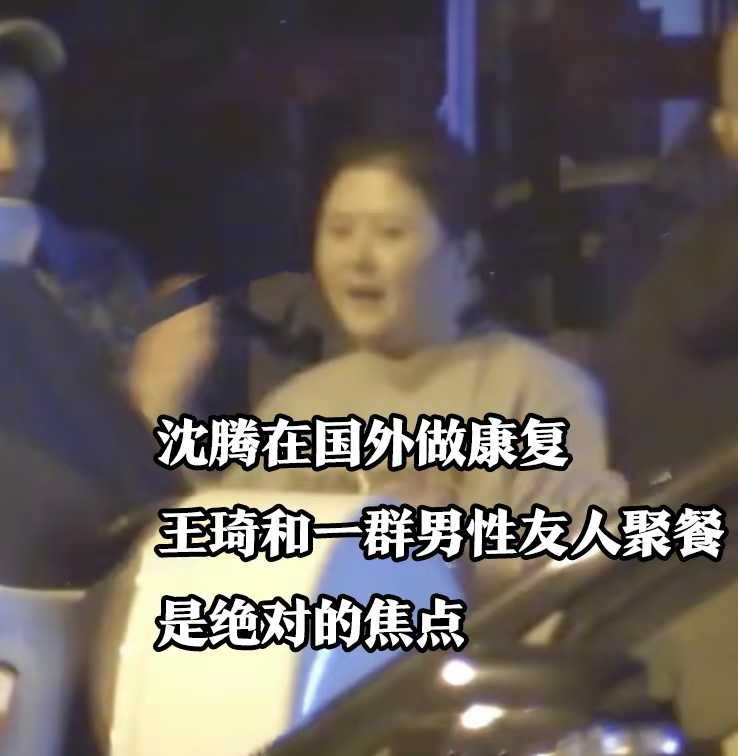 知情人士称沈腾病情恶化恐退圈王琦选择离婚